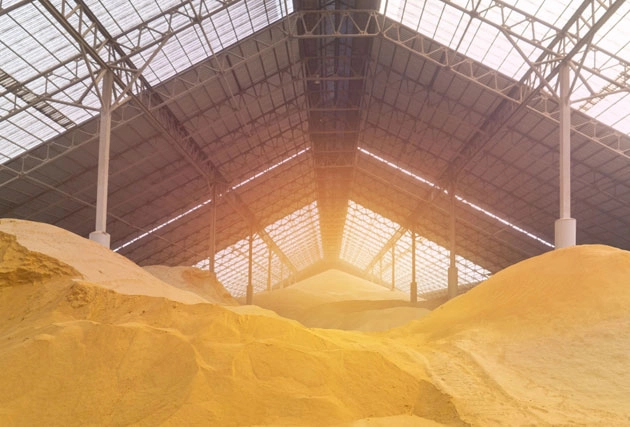 Bentonite additive: an effective mycotoxin binder for animal feed producers